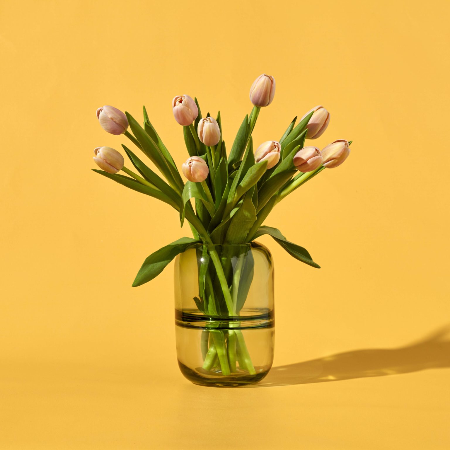 THE FLORI STUDIO - FLOWERS REIMAGINED