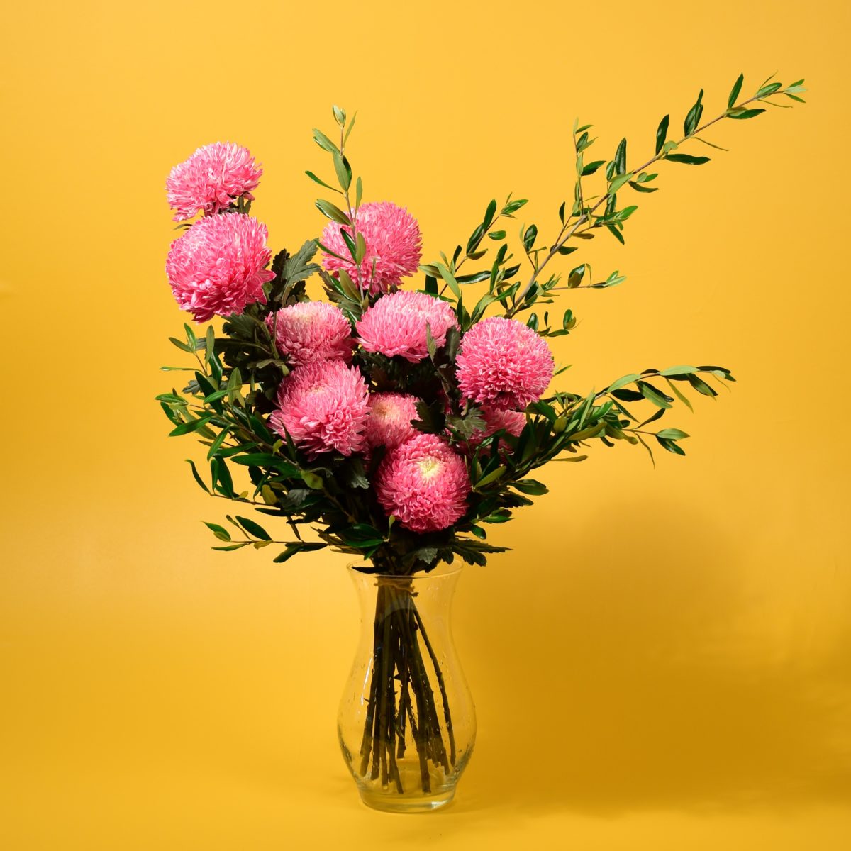 Bright Pom-Poms - THE FLORI STUDIO